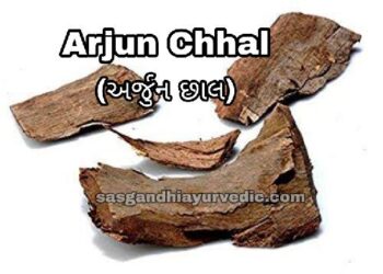 Arjun Chhal, 200gm - SAS Gandhi Ayurvedic